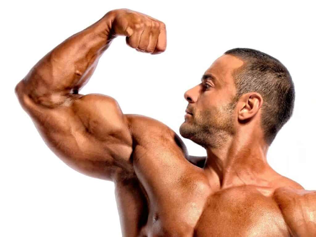 The 12 Best Bicep Exercises for Growth - Next Level Gents